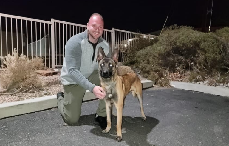 New K-9 joins Outagamie County Sheriff's Office - Kaukauna Community News